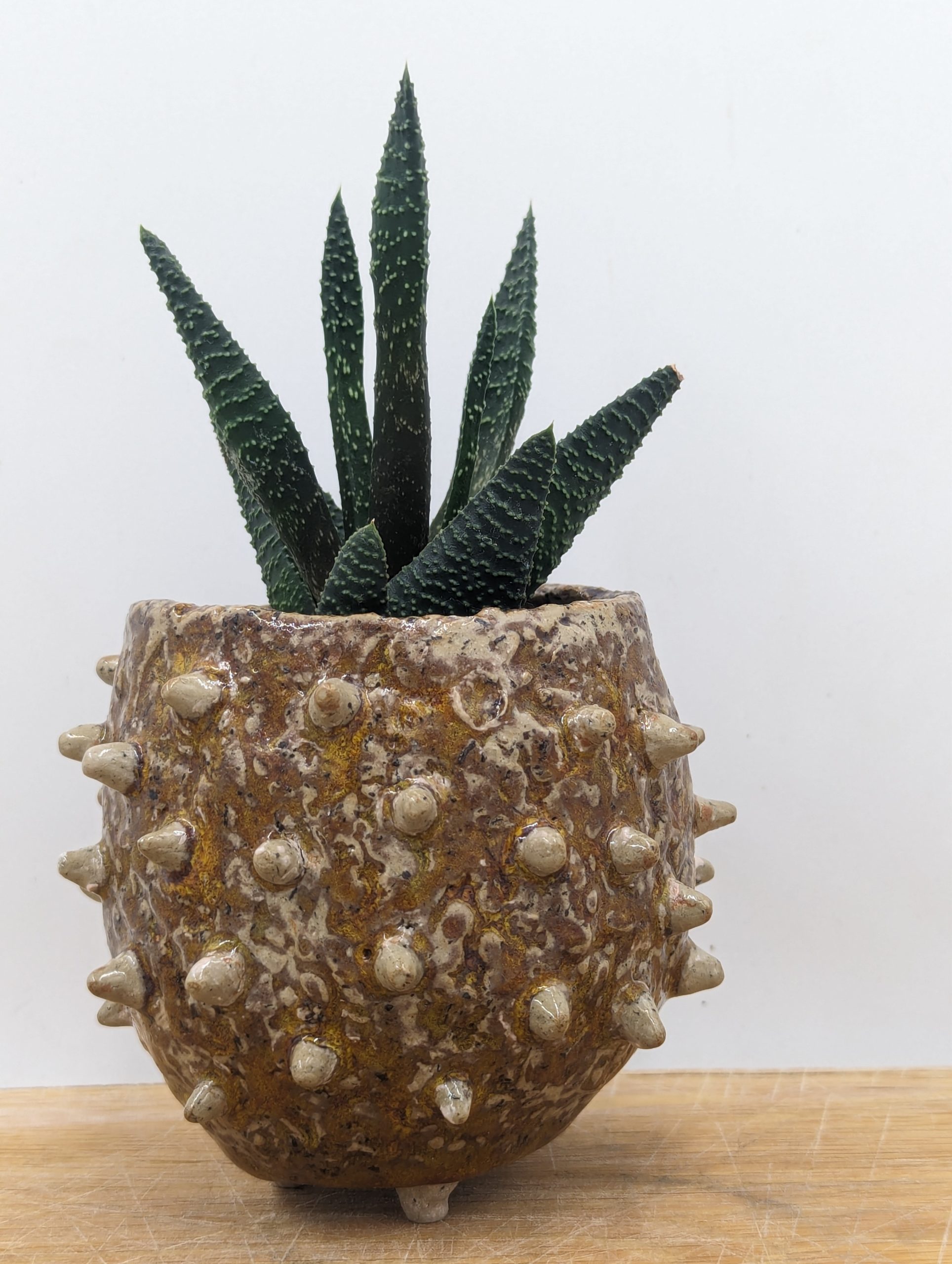 Jess Halliday – Ceramics